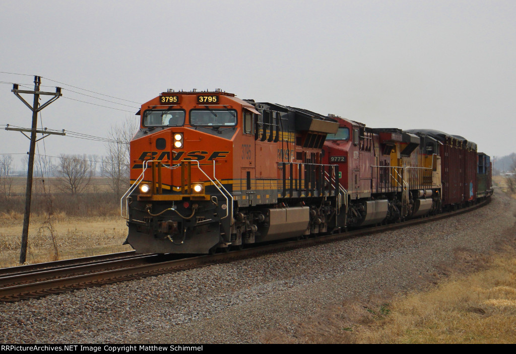 Color On A Gloomy Day